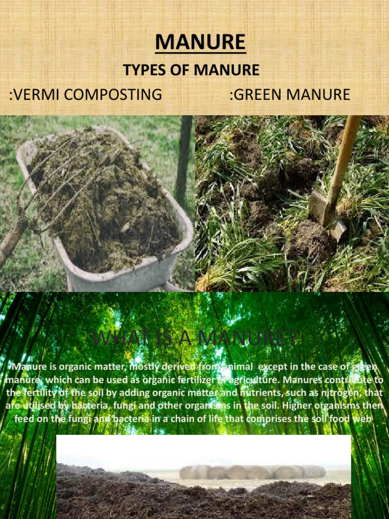 Manure Presentation | PDF | Manure | Compost