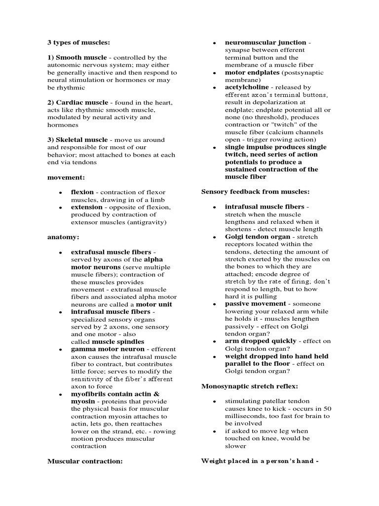 3 Types of Muscular System | PDF | Muscle Contraction | Spinal Cord