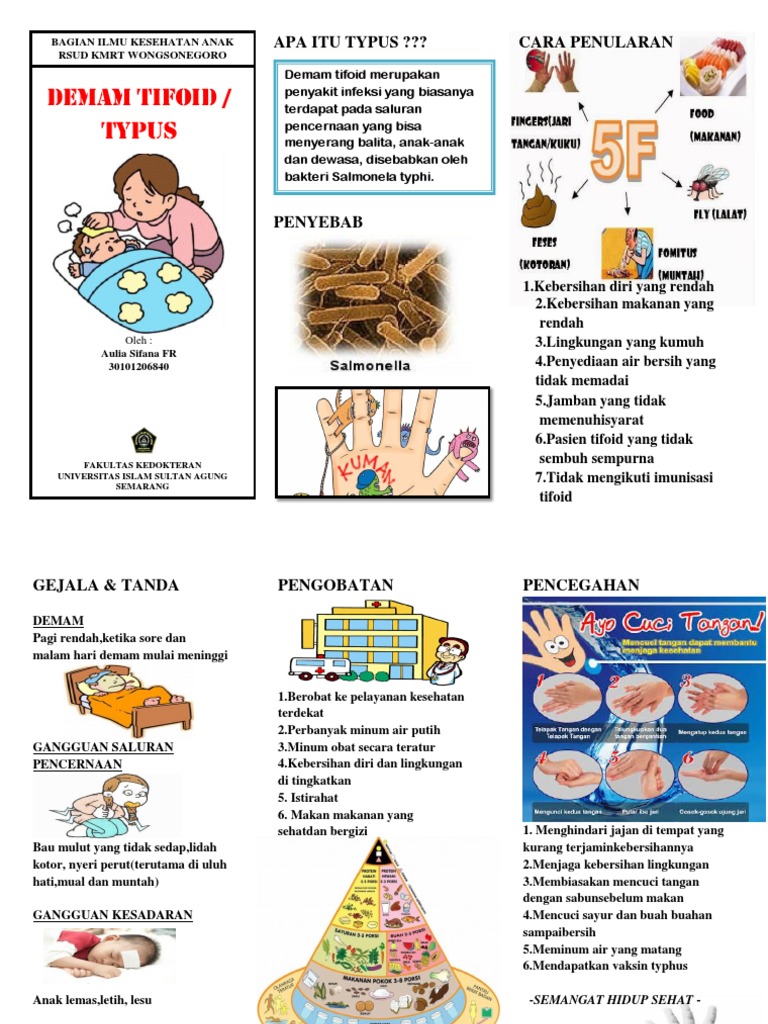 Leaflet Penyuluhan - Demam Thypoid | PDF