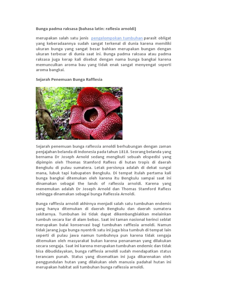 Tugas Enai Bunga Raflesia | PDF | Sains & Matematika