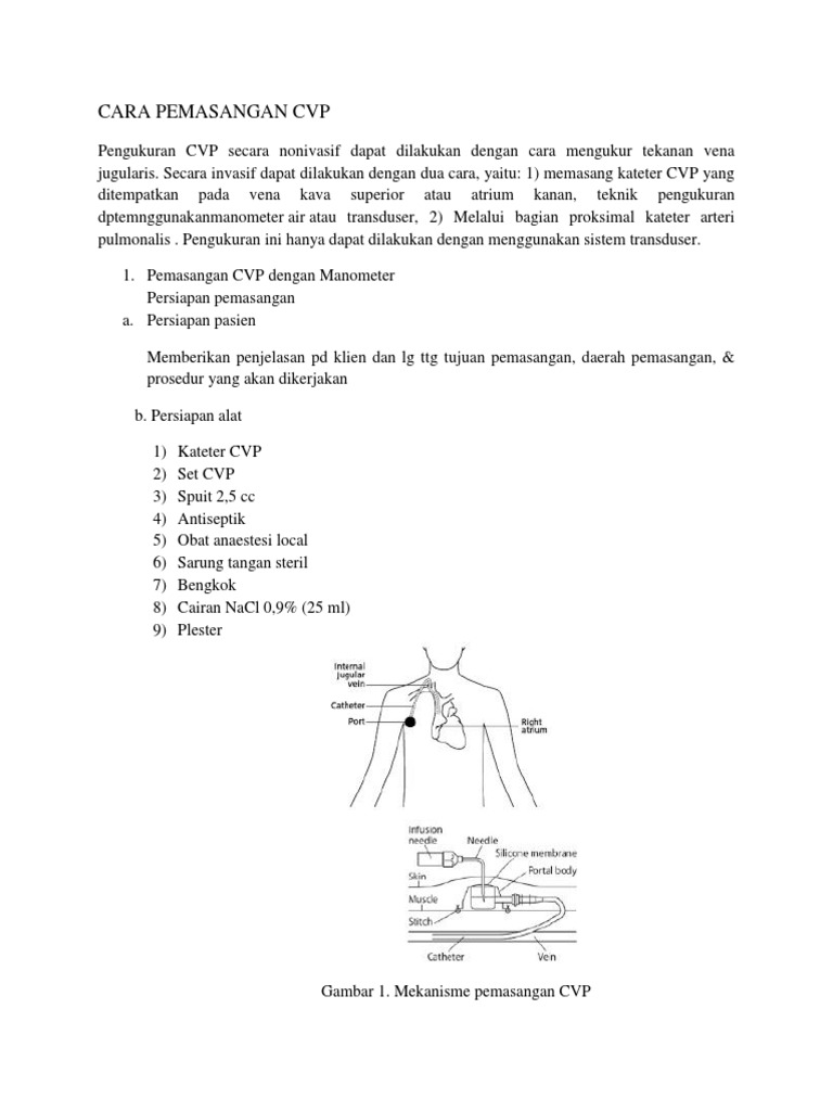 Panduan Pemasangan dan Pengukuran CVP | PDF
