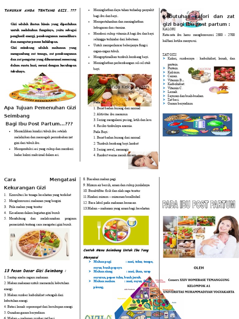 Leaflet Gizi Ibu Post Partum Ok | PDF