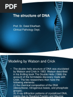 Rosalind Franklin Reading-Questions | PDF | Francis Crick | Nucleic Acids