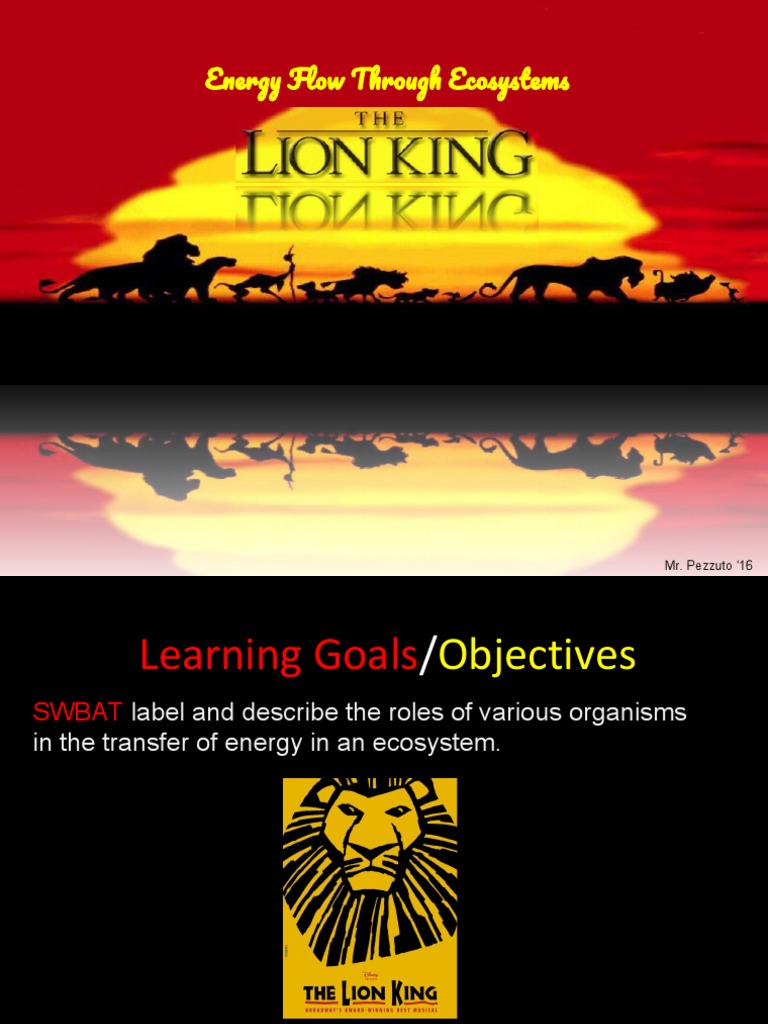Lion King Food Web | PDF | Food Web | Ecosystem