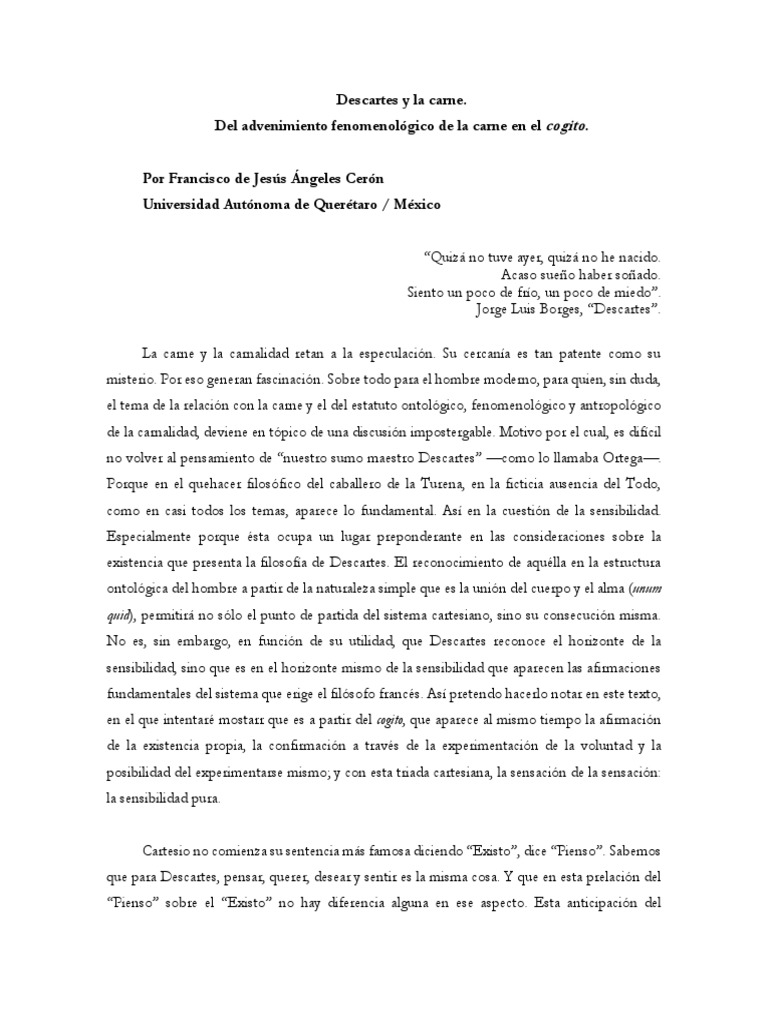 Descartes y La Carne | PDF | René Descartes | Existencia