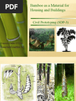 Bamboo Construction & Techniques | PDF | Bamboo | Wood