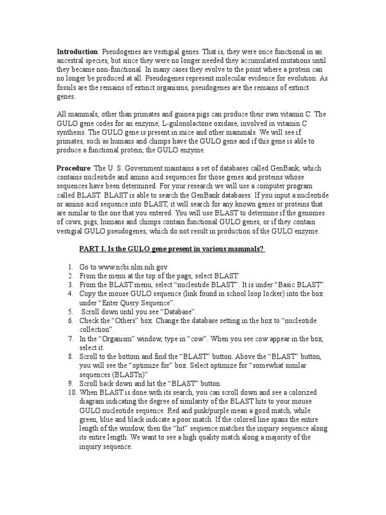 Blast Lab | PDF | Gene | Biotechnology