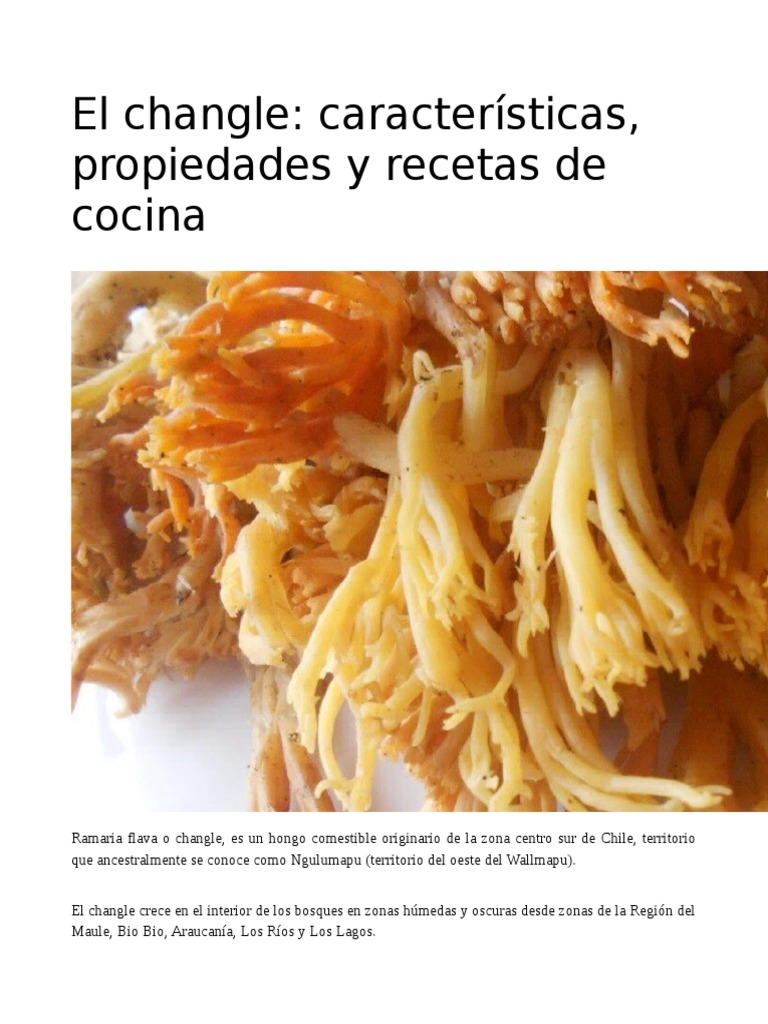 Changle: Propiedades y Recetas Chilenas | PDF | Alimentos | Preparación ...
