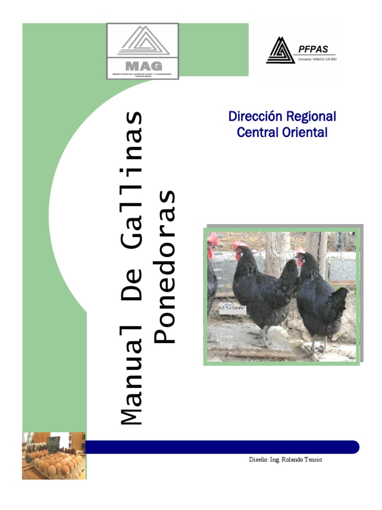 Manual Básico de Gallinas Ponedoras | PDF | Aves | Pollo