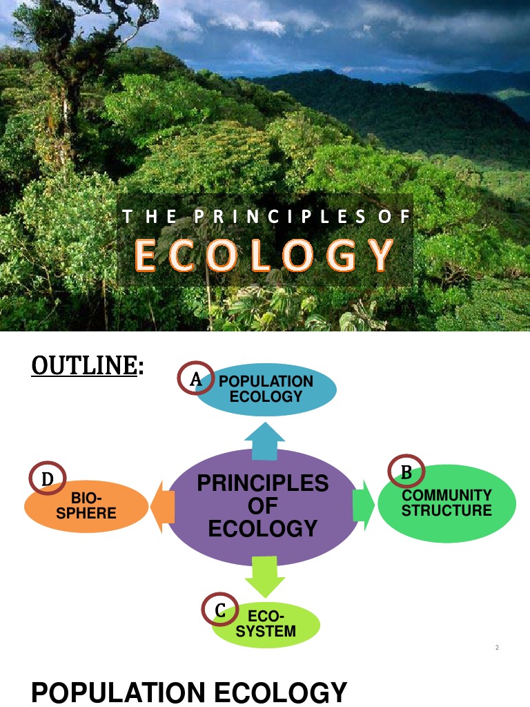10 Principles of Ecology 1 | PDF | Food Web | Ecosystem