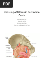 Grossing Guidelines for Pathology Specimens | PDF | Kidney | Placenta