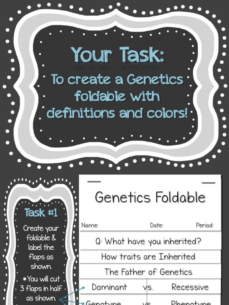 Genetics Foldable Creation Guide | PDF | Heredity | Phenotypic Trait