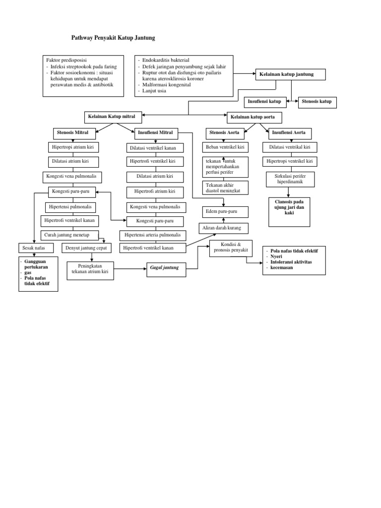 Pathway Penyakit Katup Jantung | PDF