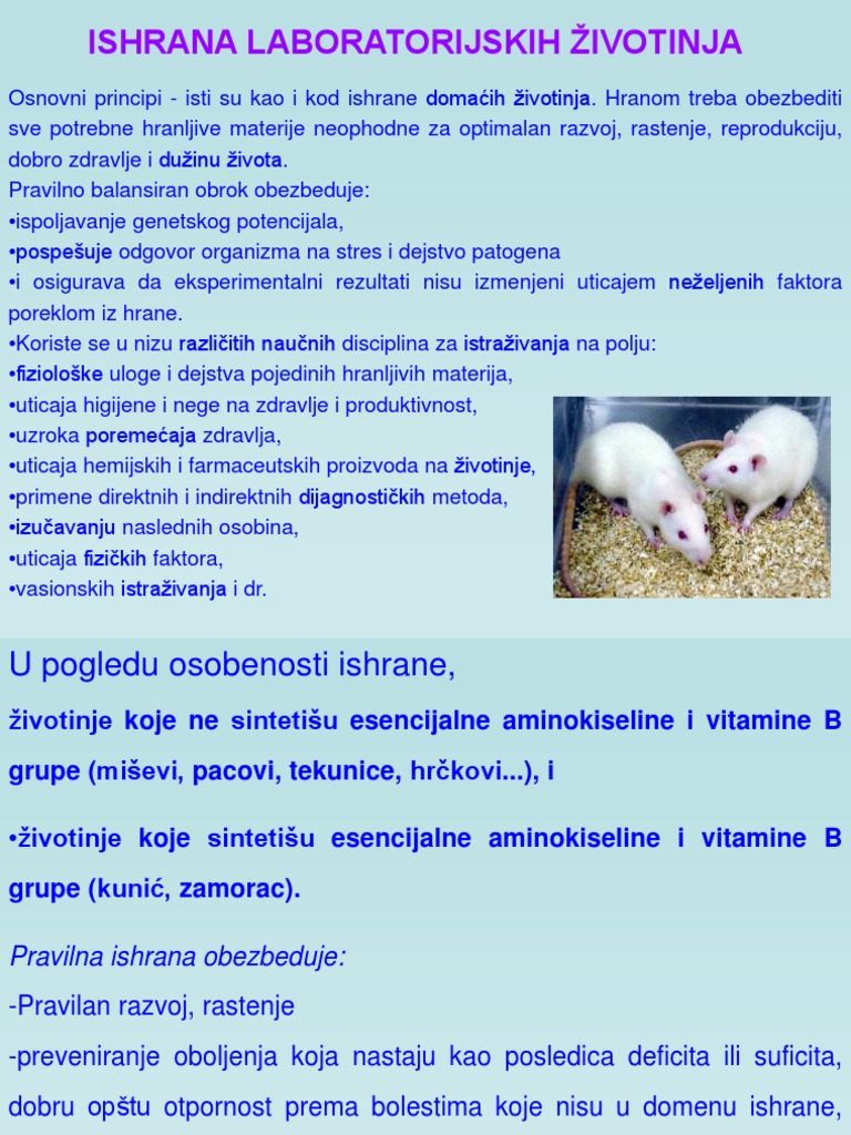 Ishrana Laboratorijskih Zivotinja | PDF