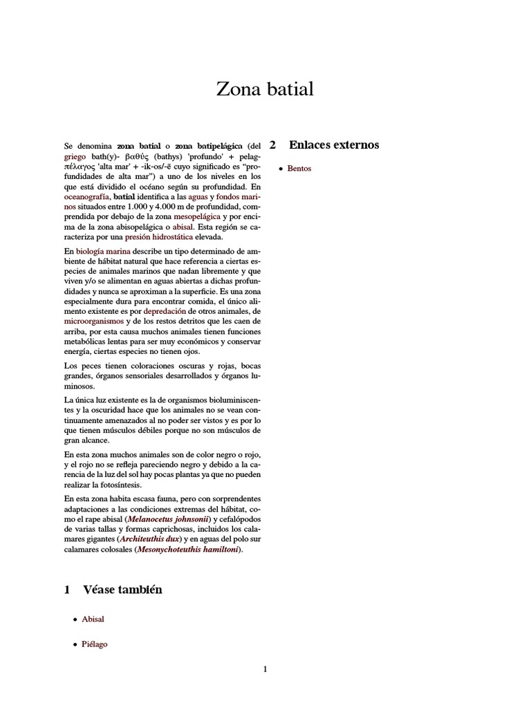 Zona Batial | PDF | Océanos | Hidrografía