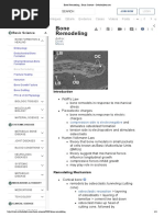 Gustilo-Anderson Classification Overview | PDF