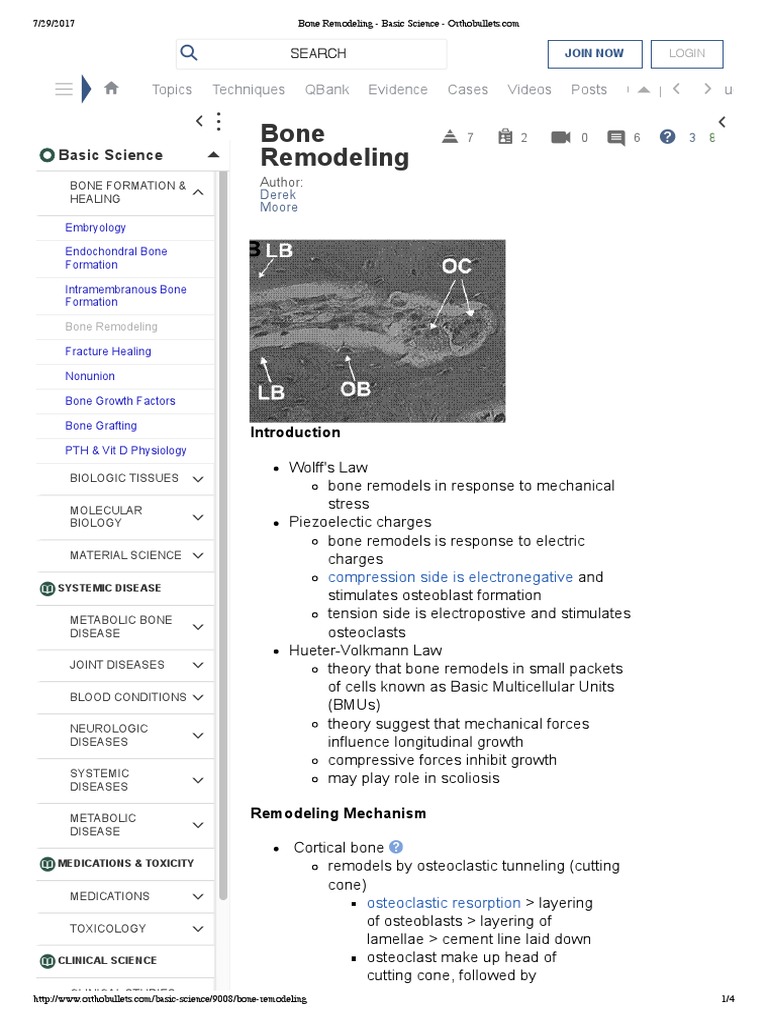 Bone Remodeling - Basic Science - Orthobullets | PDF | Osteoblast | Bone