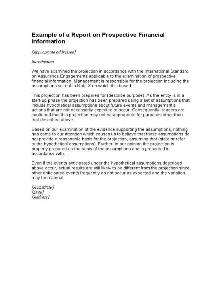 Prospective Financial Report Example | PDF