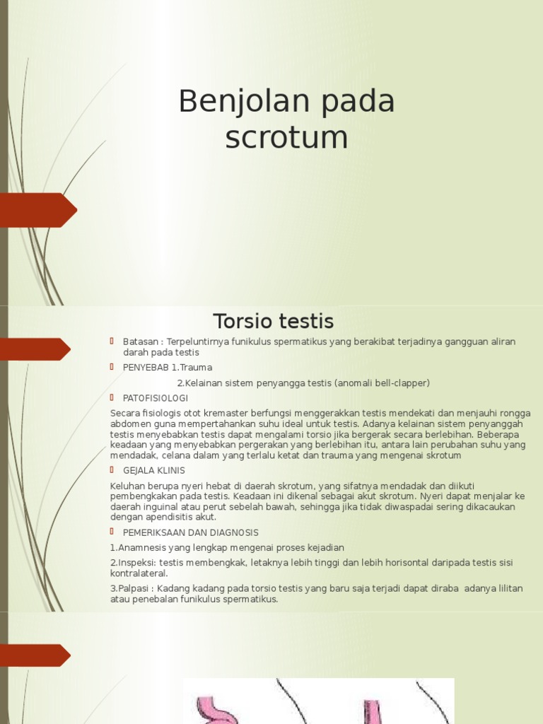 Benjolan Pada Scrotum | PDF | Ilmu Sosial | Kesehatan Holistik