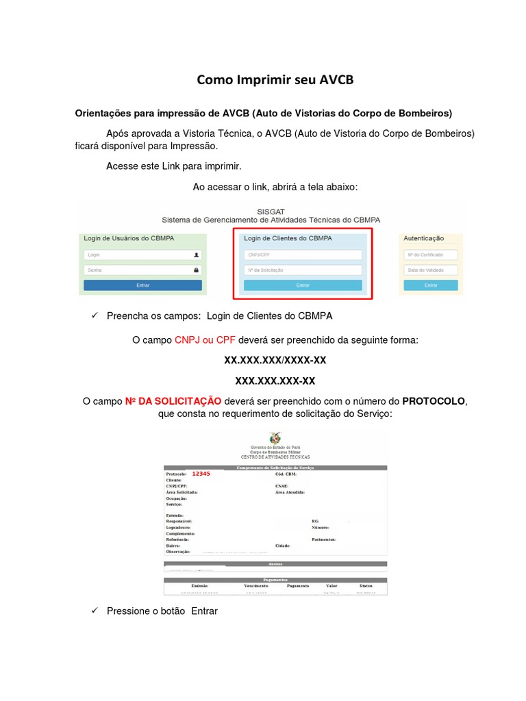 Imprimindo seu AVCB: Passo a Passo | PDF | Finanças e Administração de ...