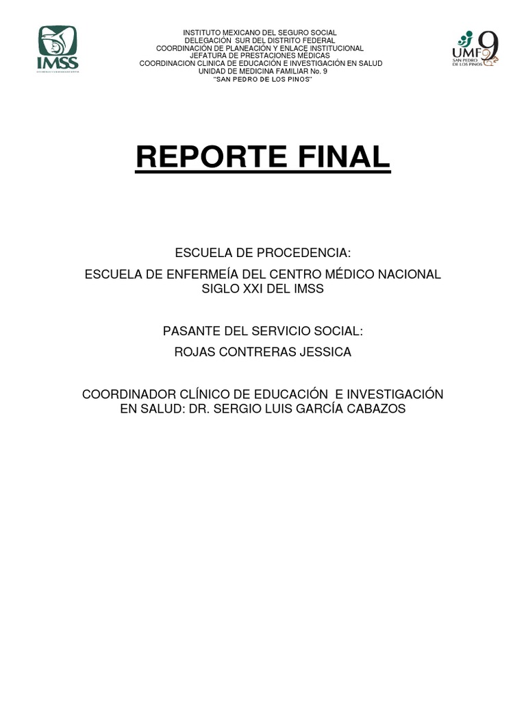 Reporte Final | PDF