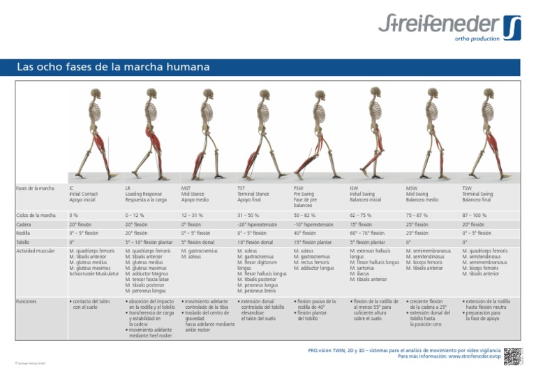 8 Fases de La Mancha | Tobillo | Rodilla