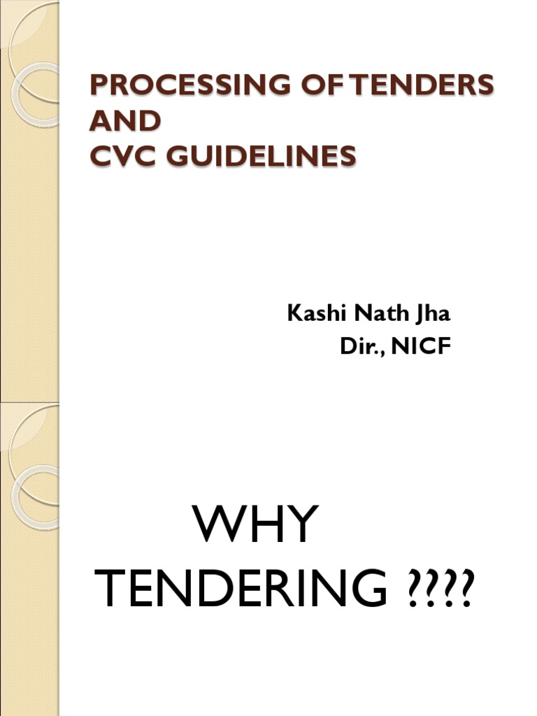 Tendering Process CVC Guidelines | PDF | Procurement | Request For Proposal