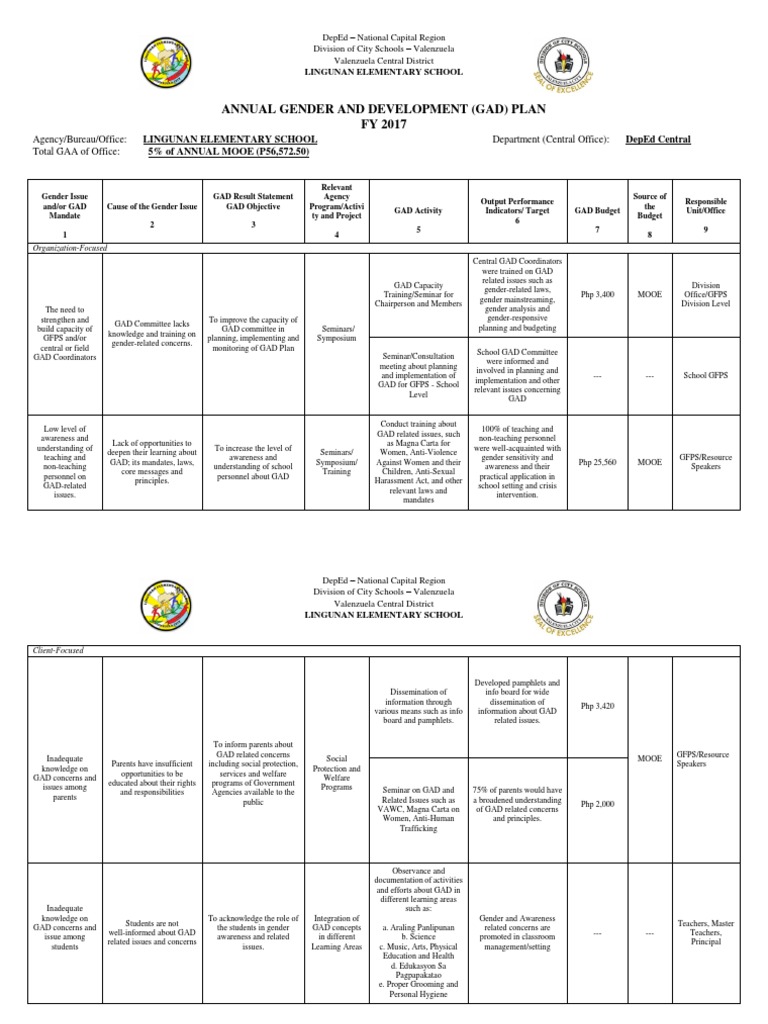 Gad Plan Fy 2017 | Gender And Development | Gender