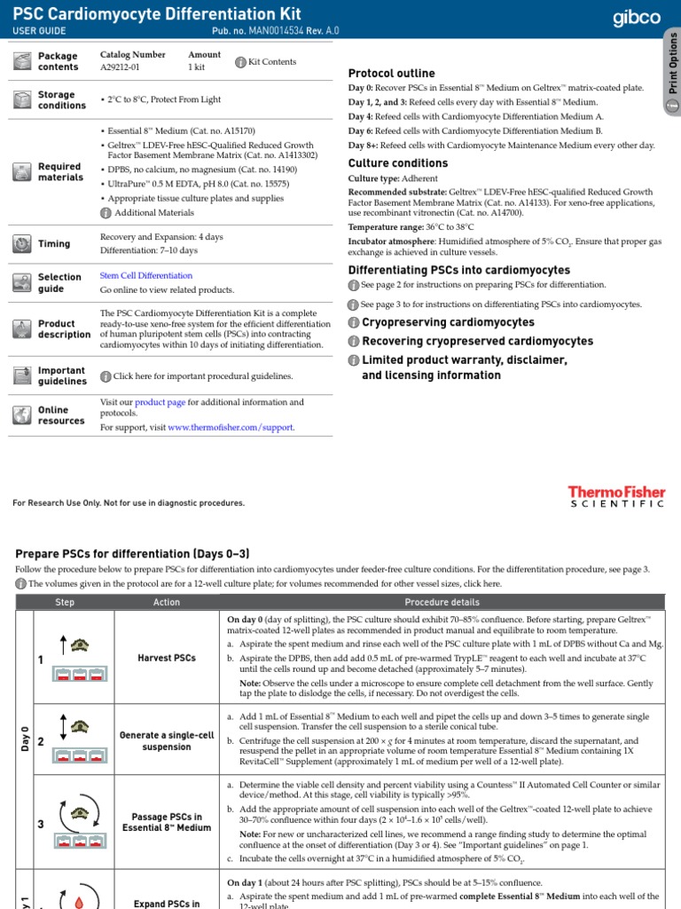 PSC Cardiomyocyte Diff Kit UG | PDF | Cellular Differentiation | Cell ...