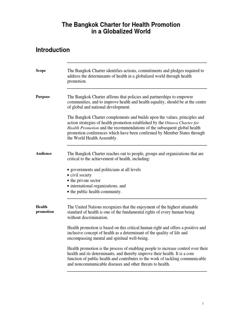 HPR - 050829 - BCHP PDF | PDF | Health Promotion | Global Governance