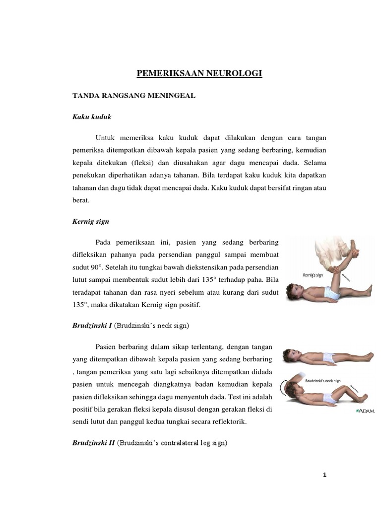 Pemeriksaan Fisik Neurologi | PDF