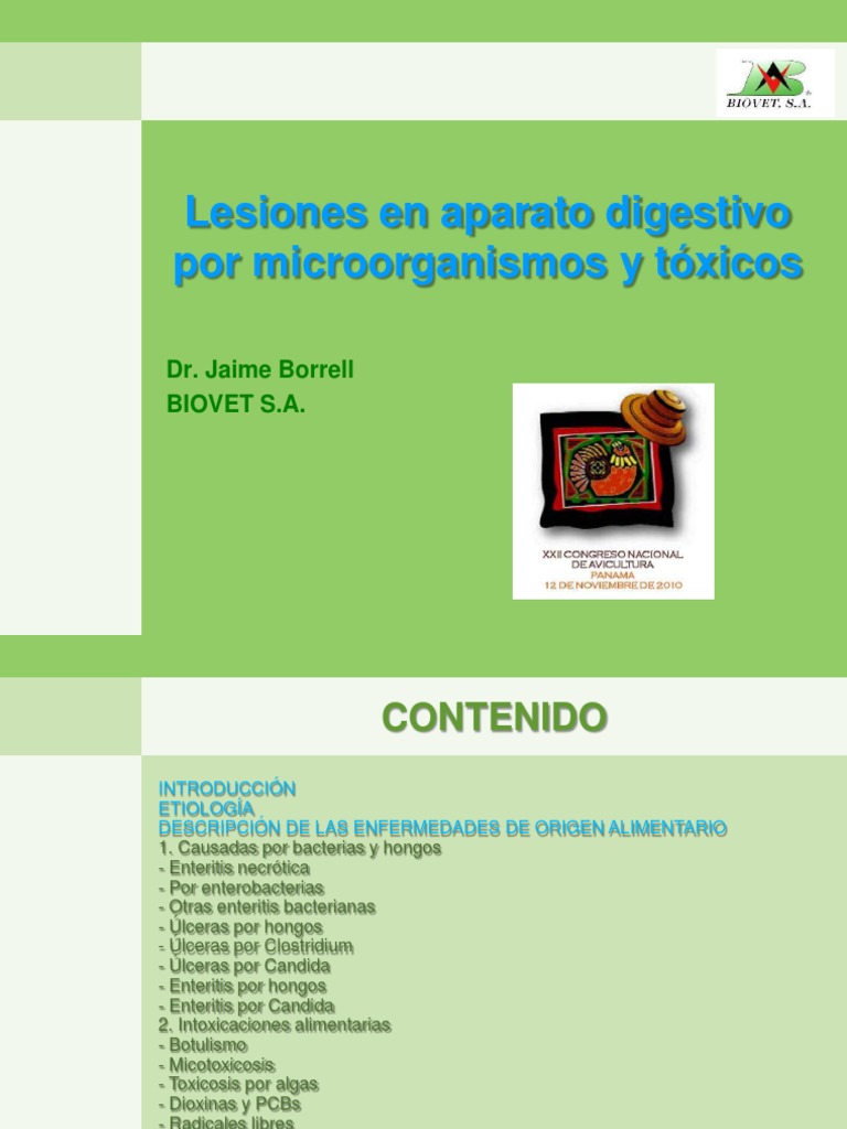 Micosis Intestinal en Aves | Diarrea | Digestión