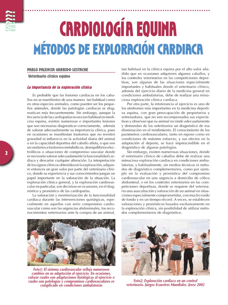Cardiología Equina Métodos de Exploración Cardiaca Pablo Palencia ...