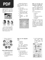 Health Teaching Plan Dengue | PDF