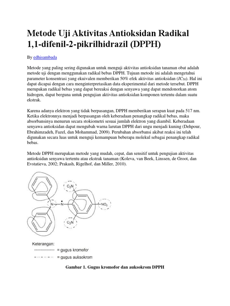 Pengertian Metode DPPH | PDF