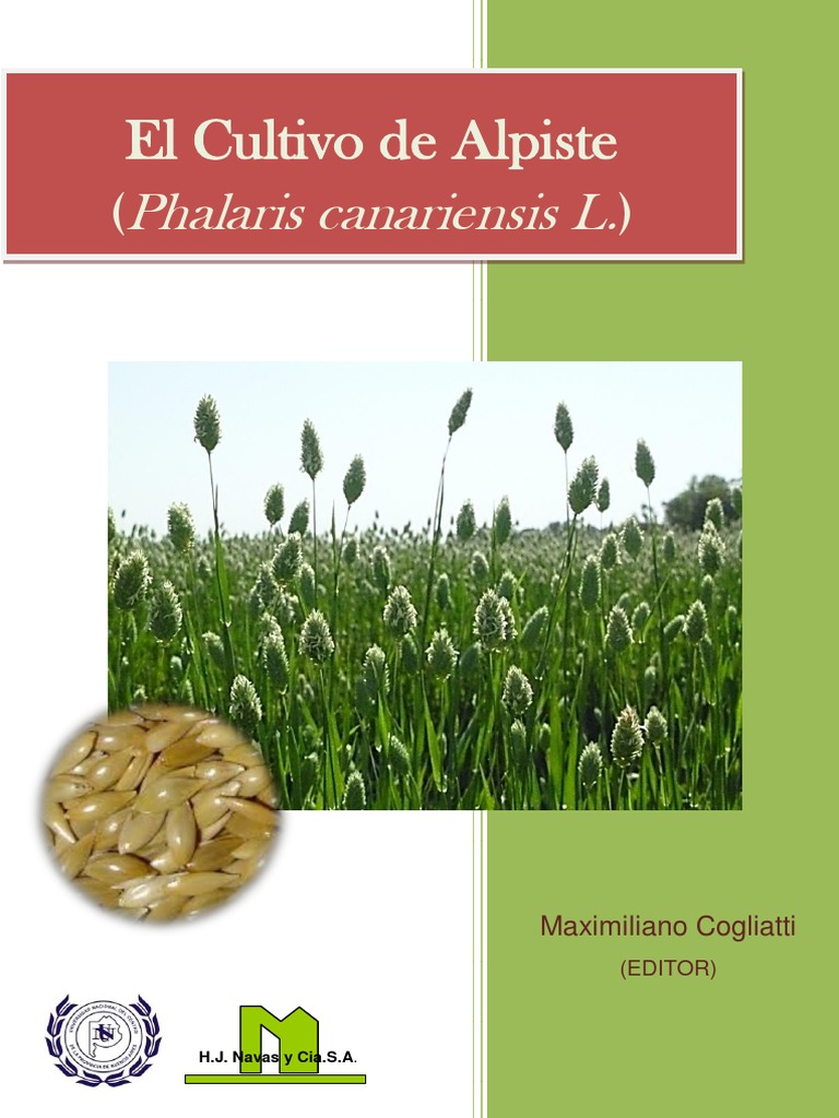 Alpiste.pdf | Naturaleza | Plantas