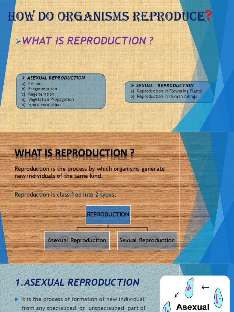 How Do Organisms Reproduce R | PDF