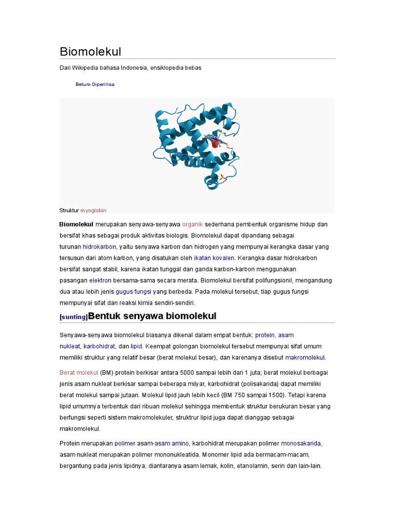 Biomolekul: Struktur dan Fungsi | PDF