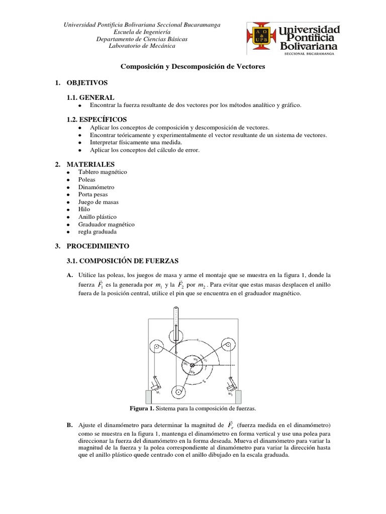 Práctica Composición Descomposición Vectores | PDF | Vector Euclidiano | Fuerza
