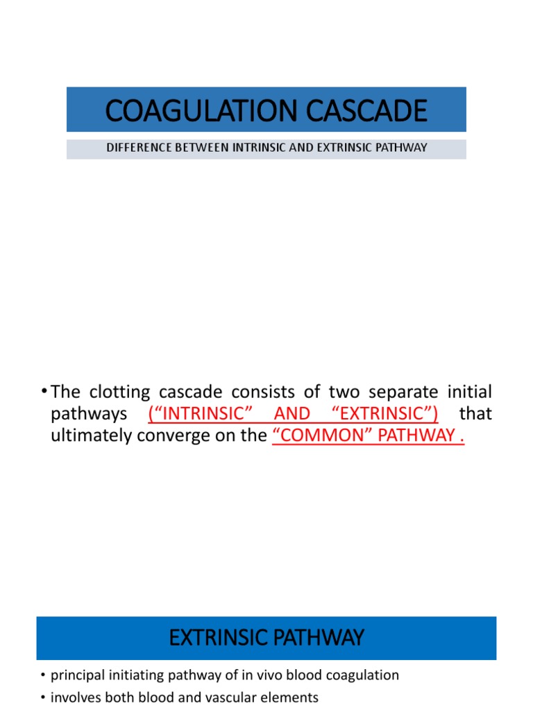 Coagulation Cascade Difference Between Intrinsic And Extrinsic Pathway