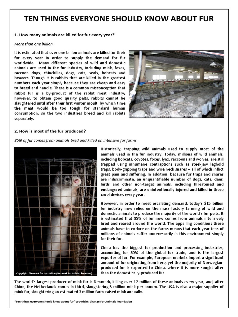 Ten Things Fur | PDF | Trapping | Animal Welfare