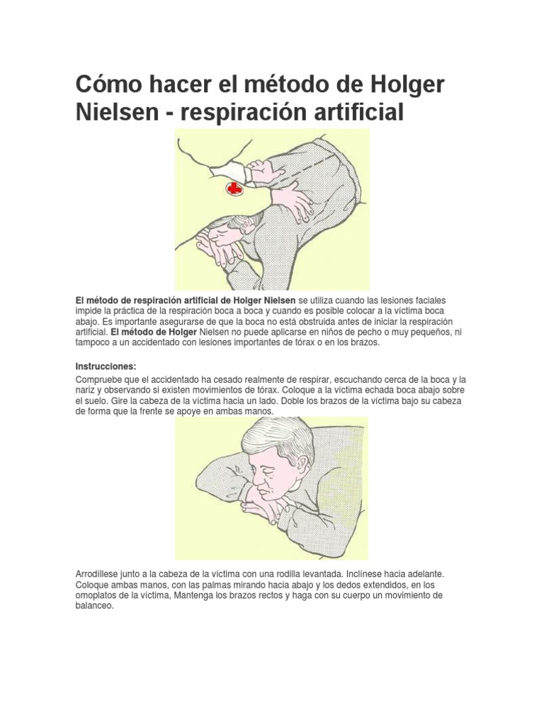 Cómo Hacer El Método de Holger Nielsen | PDF
