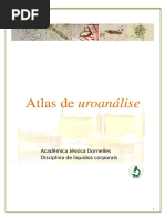 Atlas URINALISE | PDF