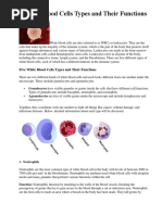 Ayurvedic Chikitsa: Treatment Types Explained | PDF | Ayurveda | Medicine