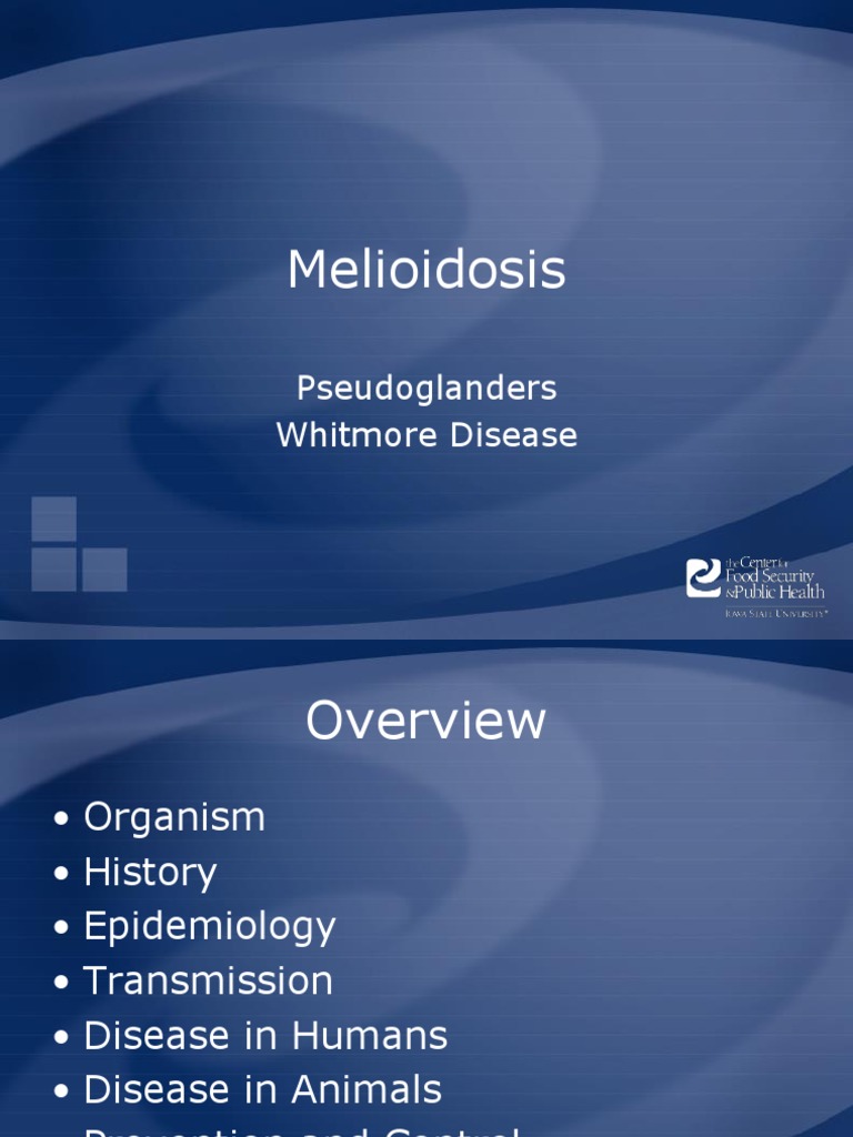 Melioidosis: Pseudoglanders Whitmore Disease