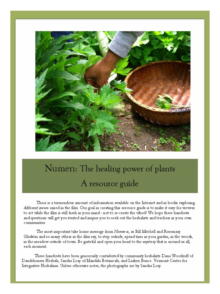 Healing Power of Plants - A Resourse Guide | PDF