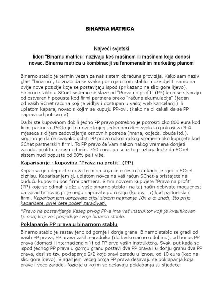 Binarna Matrica | PDF