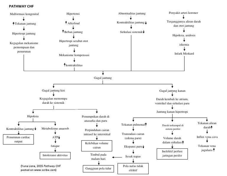 Pathway Gagal Jantung Kongestif | PDF