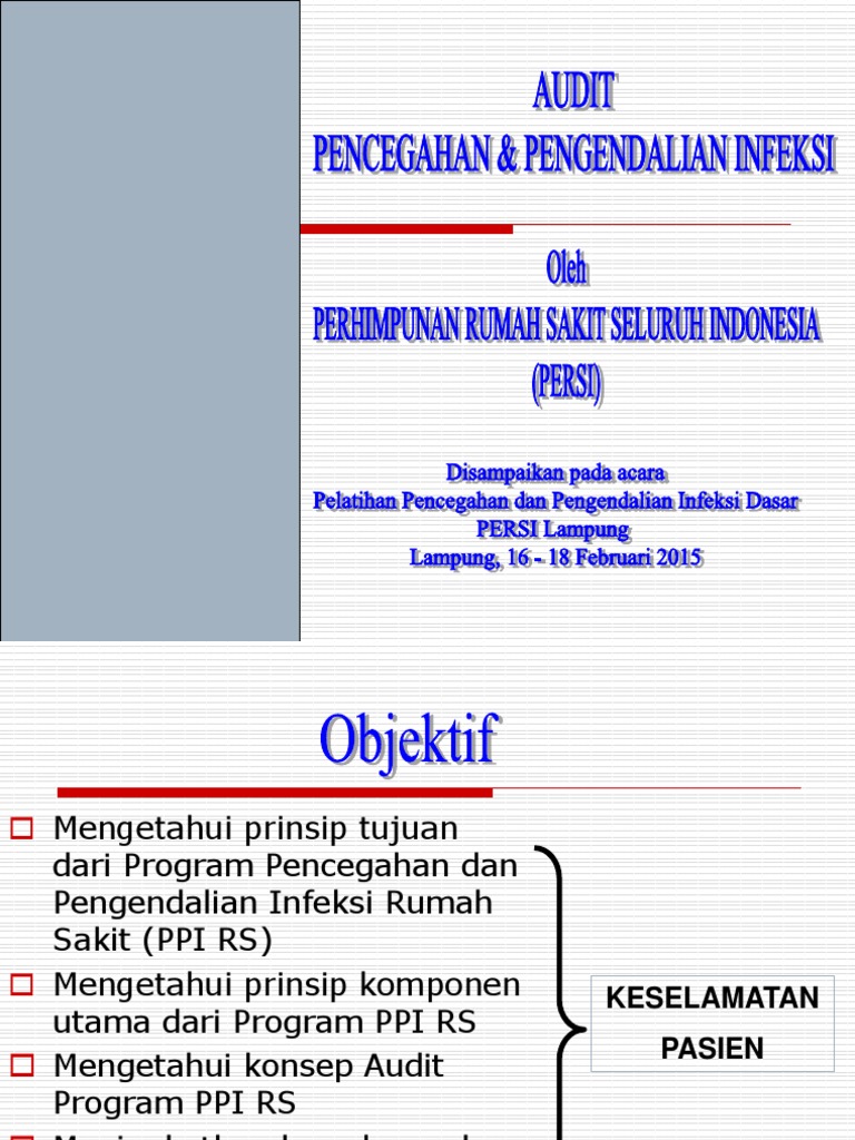 Audit Ppi | PDF | Sains & Matematika