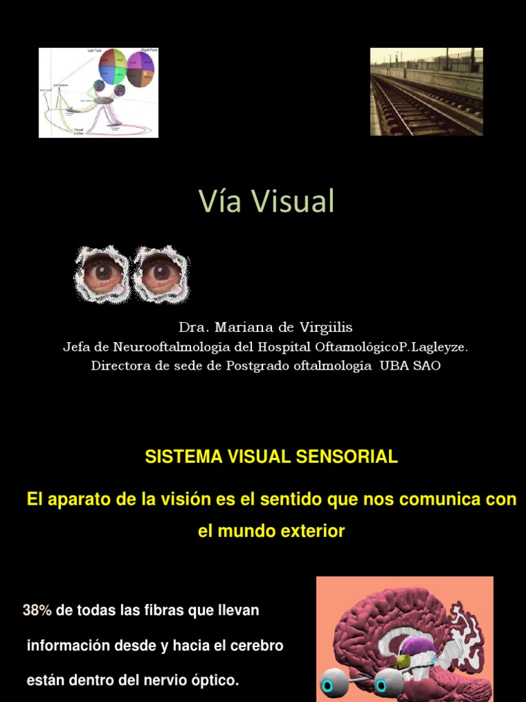 01 Via Visual de Virgiliis | PDF | Percepción visual | Corteza visual